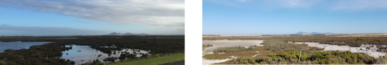 Point Wilson Quarry | Valenza Engineering